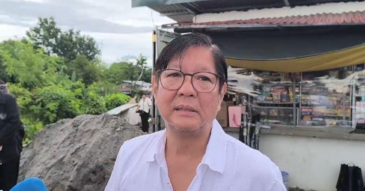 Marcos sees economic sabotage in big anomalous flood control projects