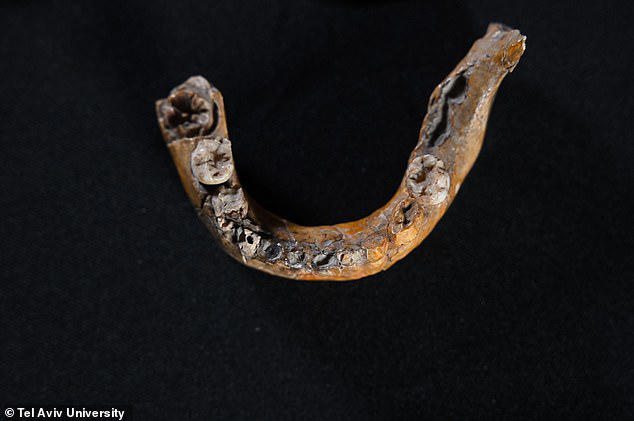 Neanderthals bred with early humans 100,000 YEARS earlier than first ...