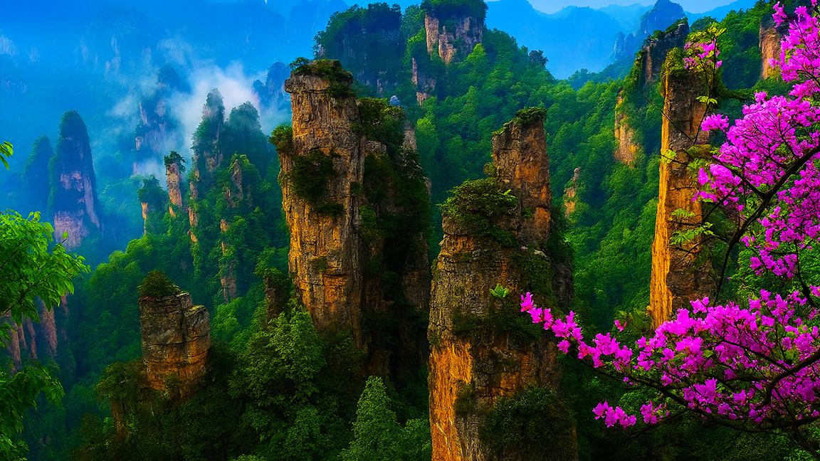Wandering Through Nature – A 4K Journey