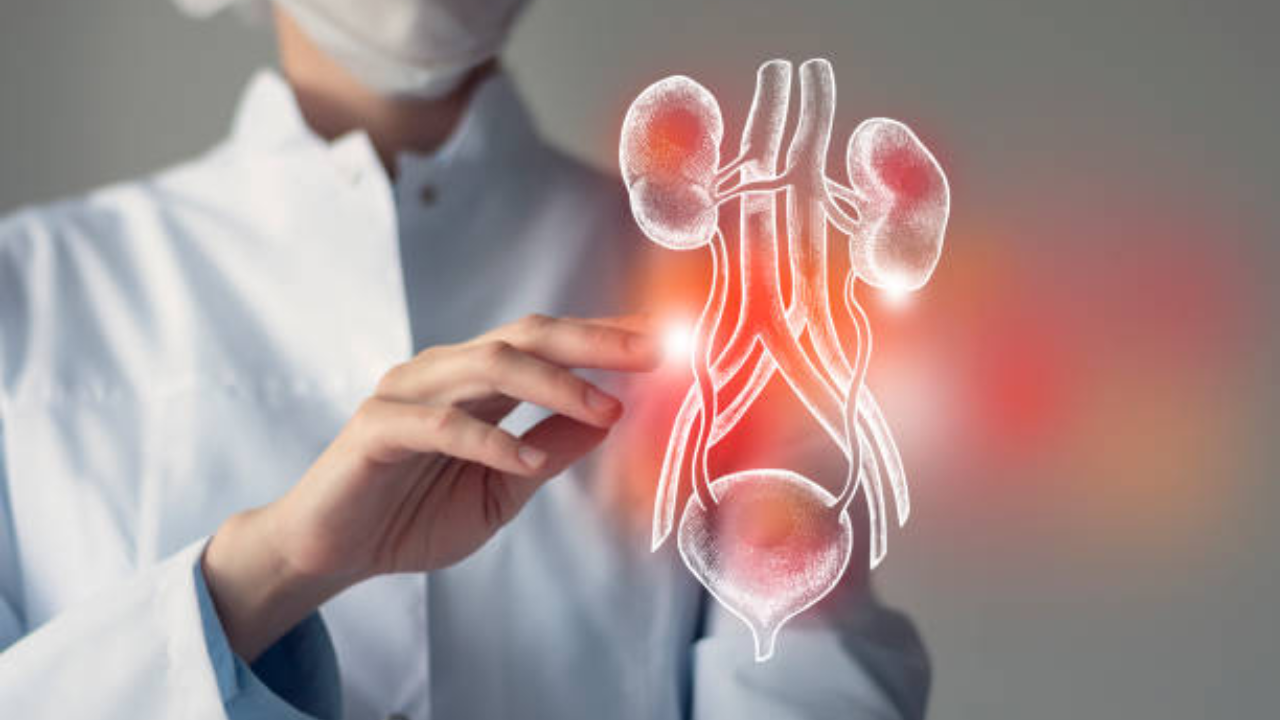 Kidney stones: Doctor-approved evidence-backed remedies to get rid of ...