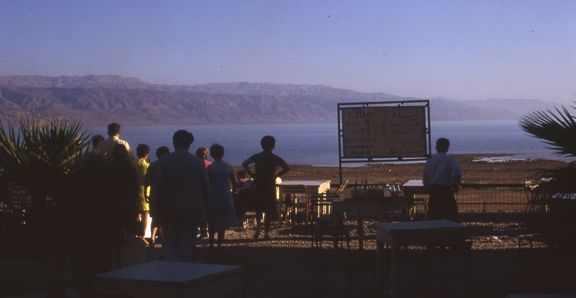 The 20 most promising young actors working in Hollywood today