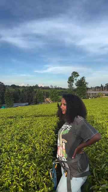 Did You Know? First African Woman Nobel Peace Prize Winner Planted Trees