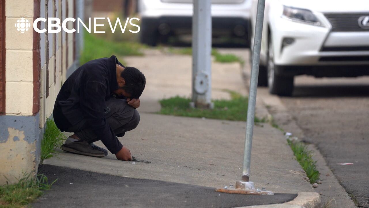 Edmonton's one-stop shop