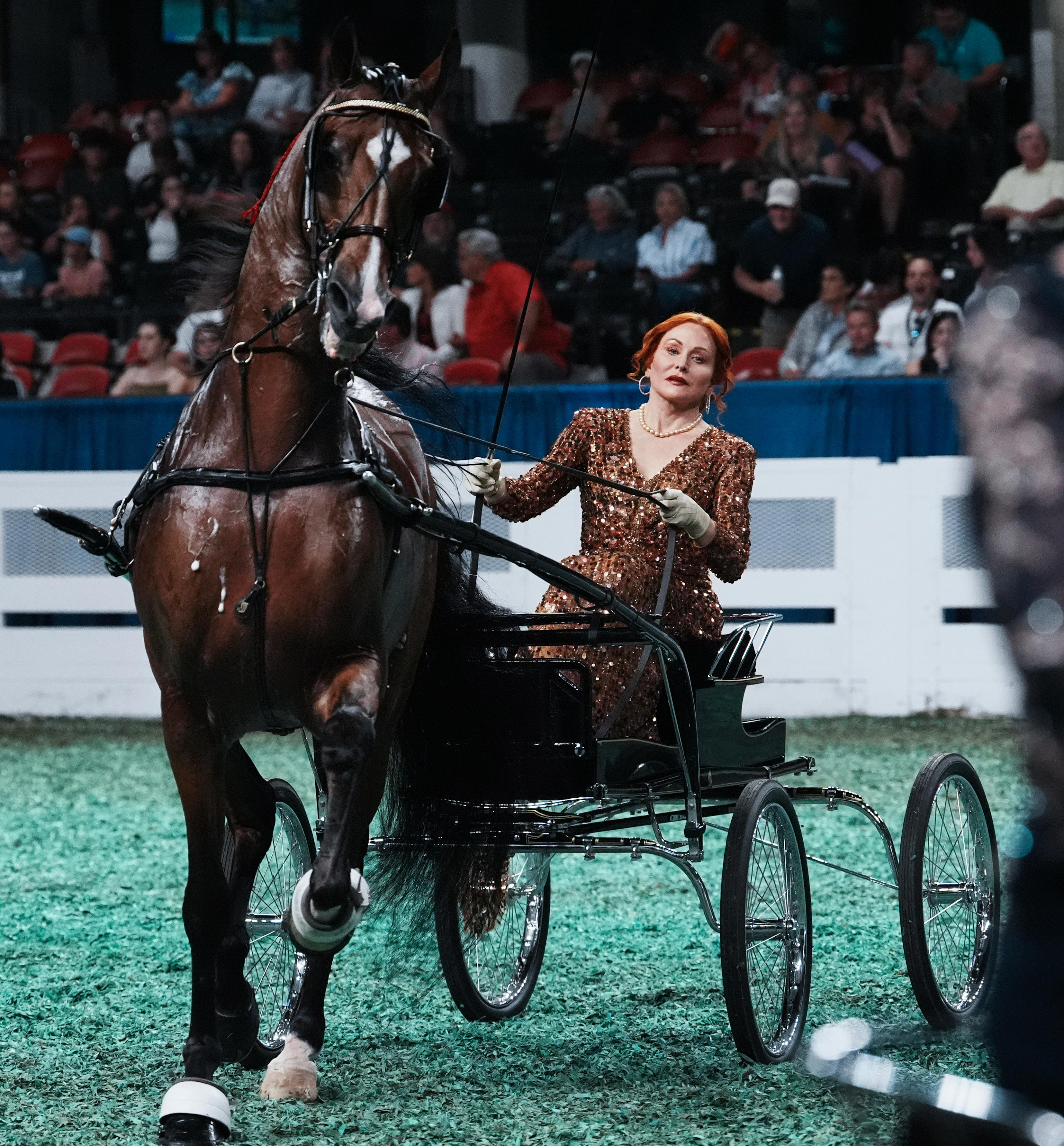 Susan Swope, son to compete at 2025 World's Championship Horse Show ...