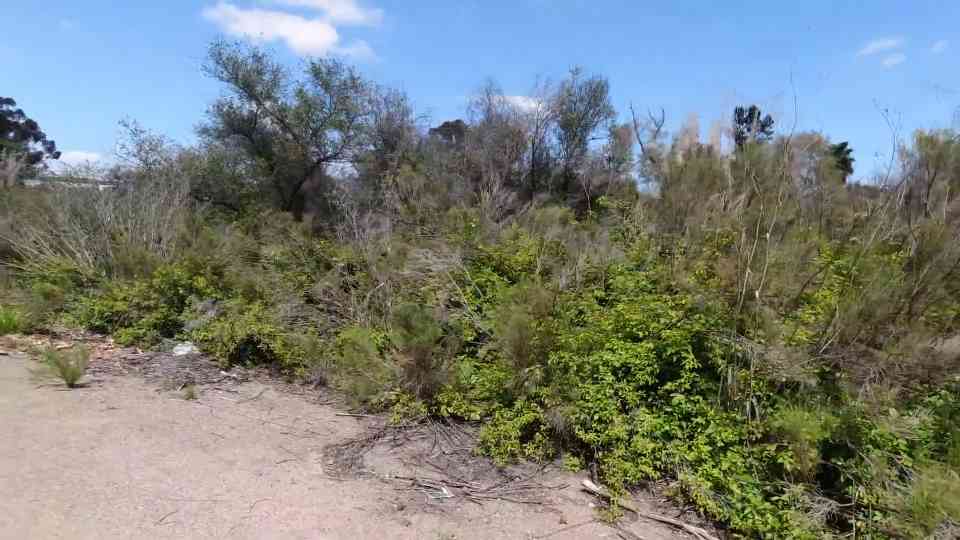 Murphy Canyon Road – San Diego’s Abandoned Highway to Nowhere