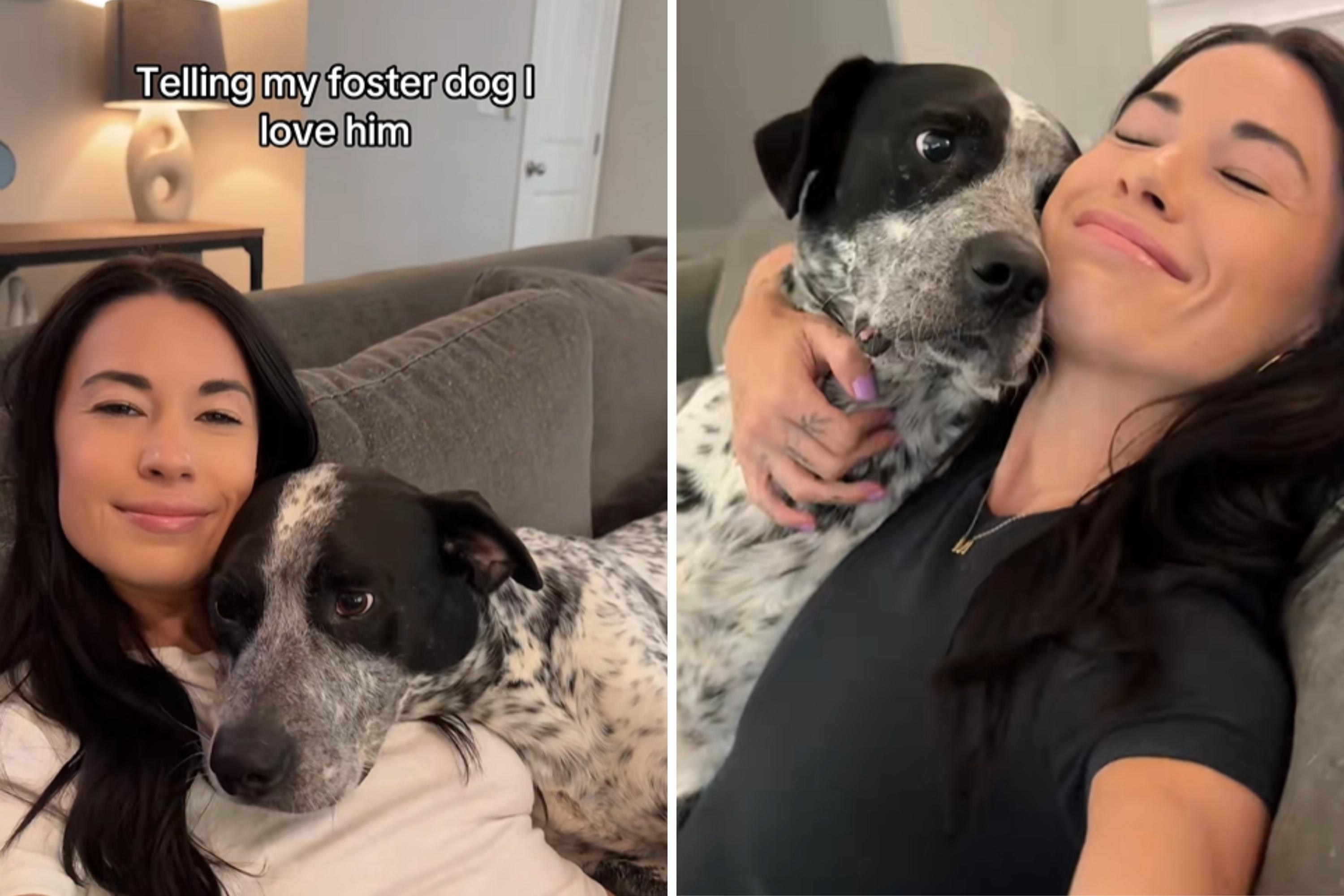 Viewers can't cope with foster dog's response to being told "I love you"