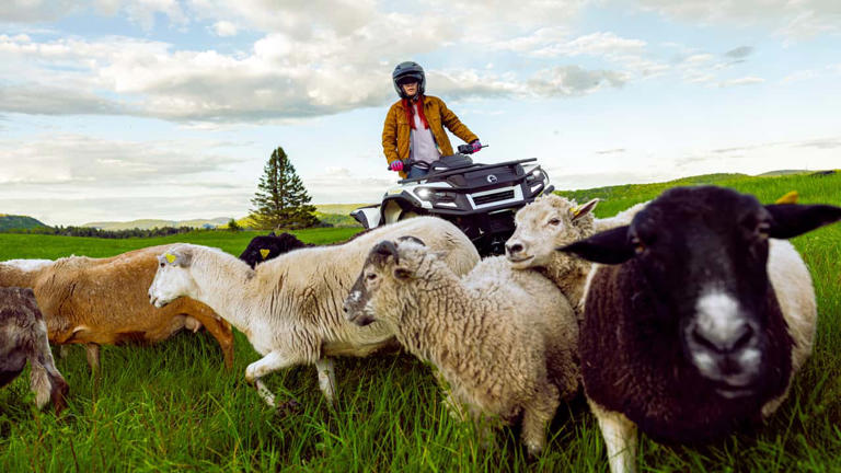 Can-Am Introduces an EV ATV With a Ton of Towing Capacity, and ...