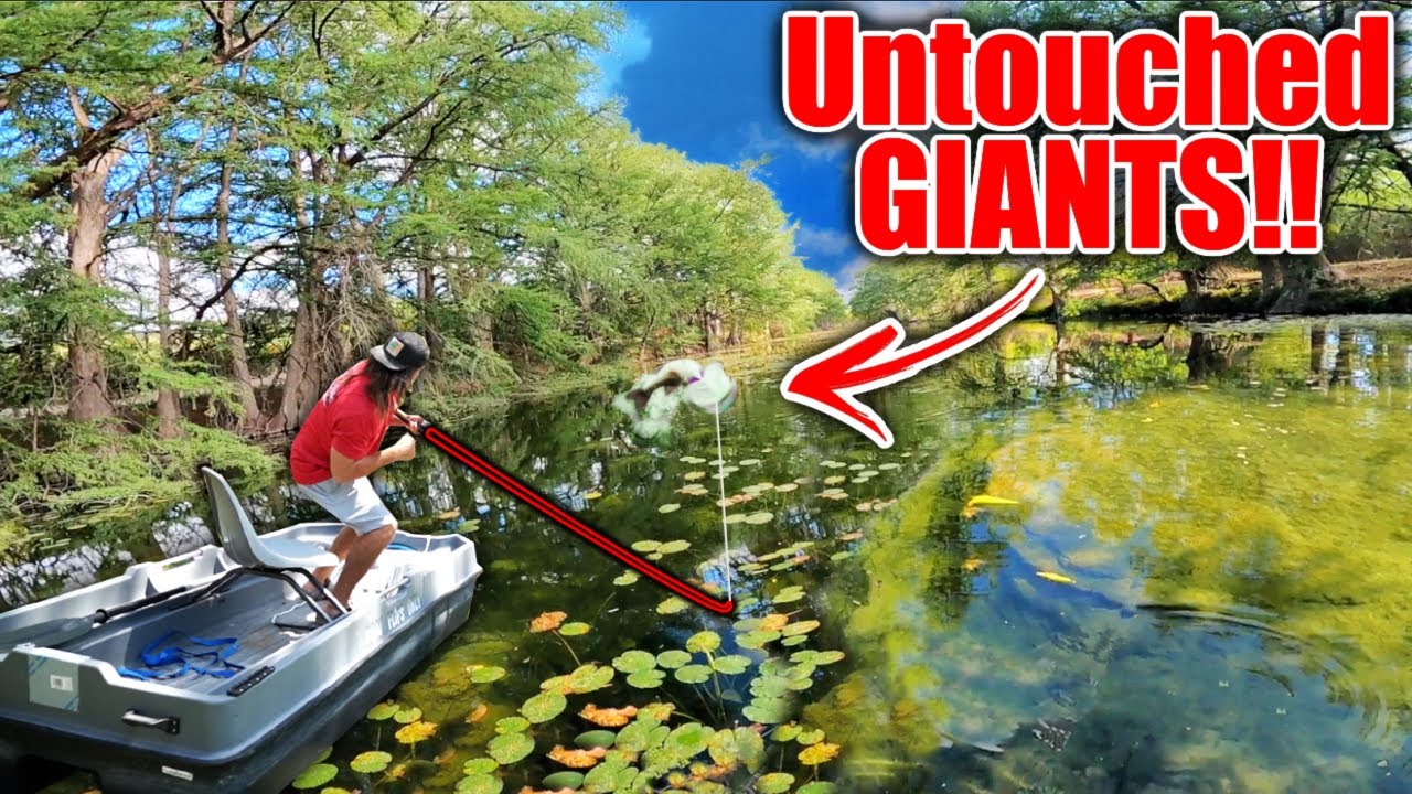 Found ultimate hidden gem loaded with giant fish