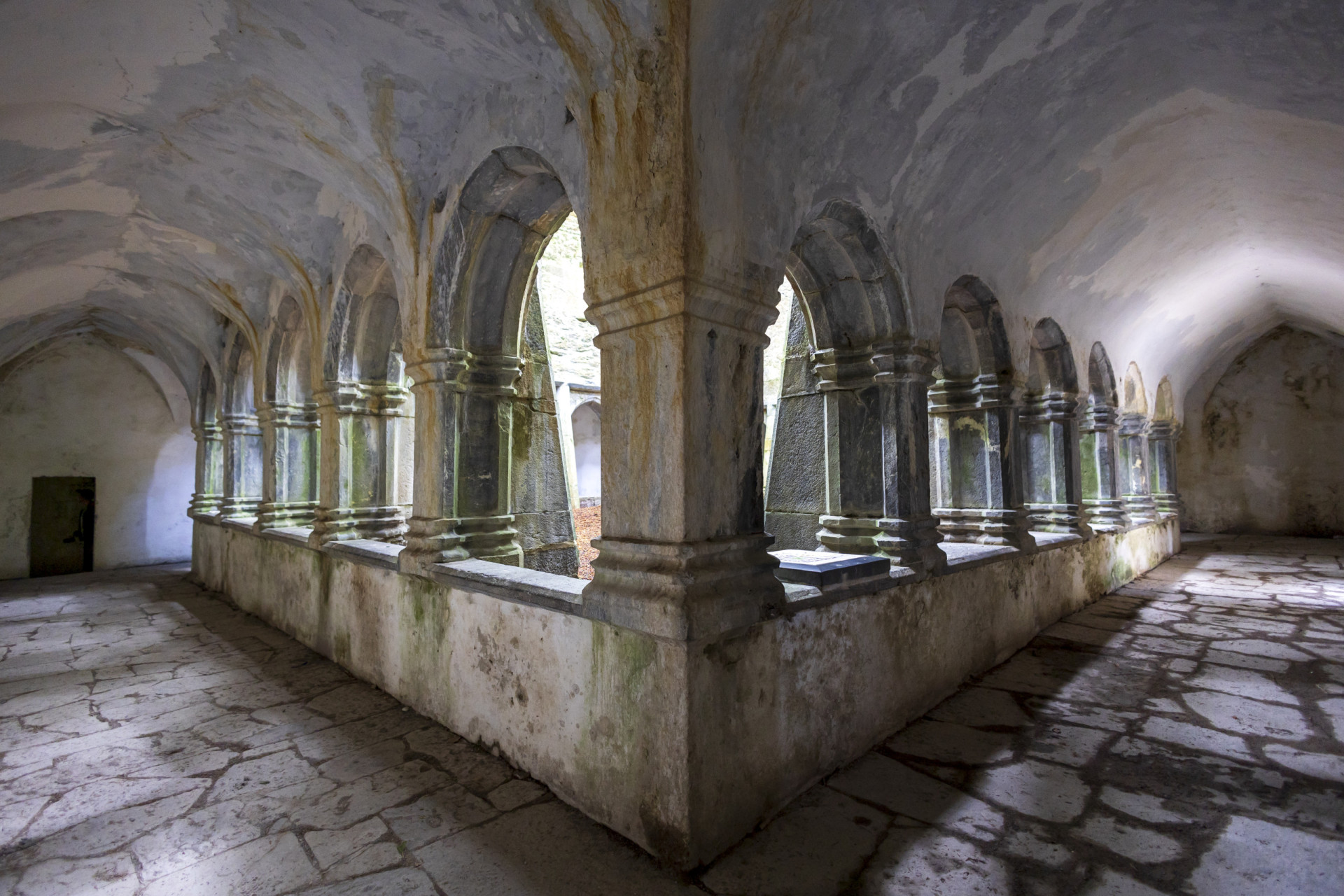 Disturbingly dark tales from Irish mythology