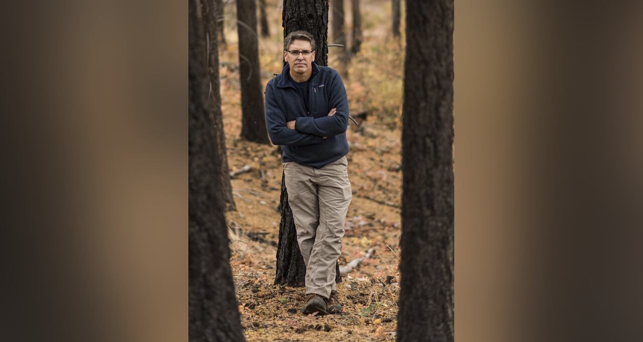 Experts say Manitoba needs better forest management to mitigate ...