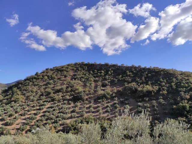 La Junta impulsa la investigación arqueológica en el Cerro del Cercado ...