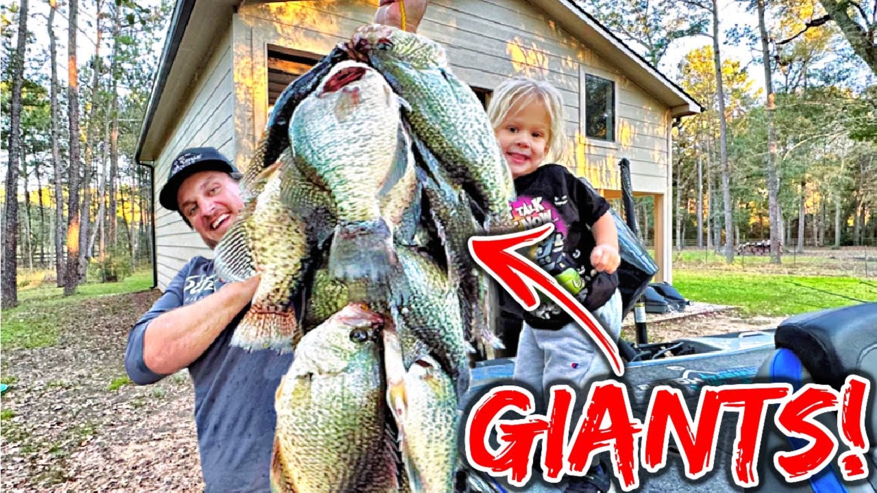 Giant winter crappie fall for easiest lure yet