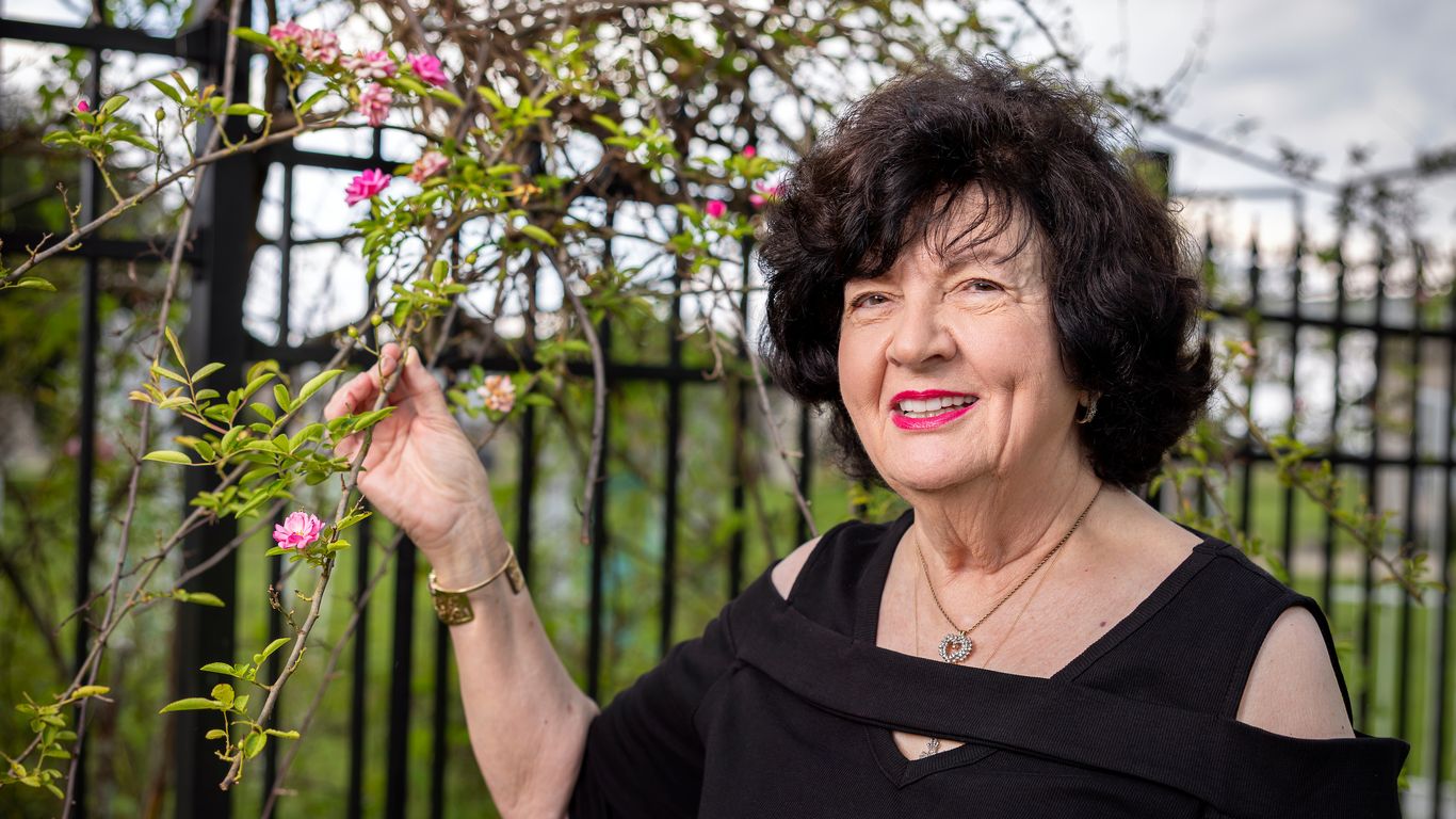 From floodwaters to fences: The story of Louisiana's Katrina rose