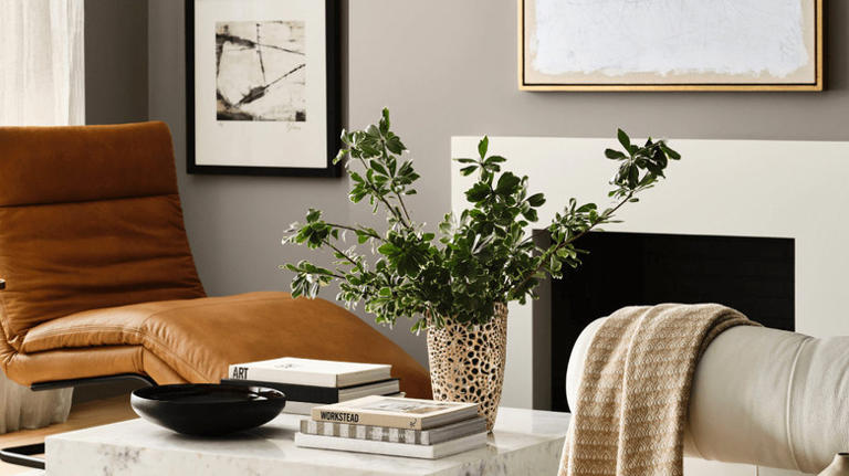 These 20 Trendy Paint Colors Will Be Taking Over Walls In 2026