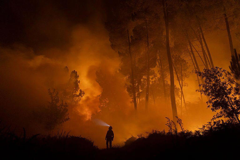 Man run over by own bulldozer while fighting Portugal fires