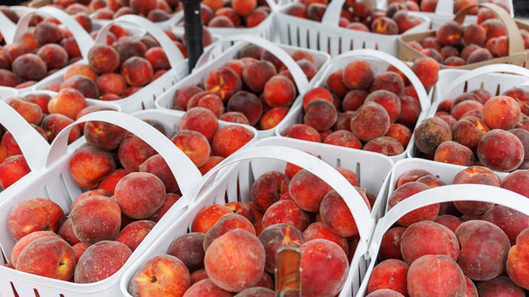 Delaware's 'Peach Center' Is A Historic Town With Rich Farm Heritage ...