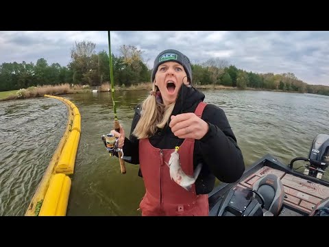 Numerous stripers caught using jigs and fresh shad