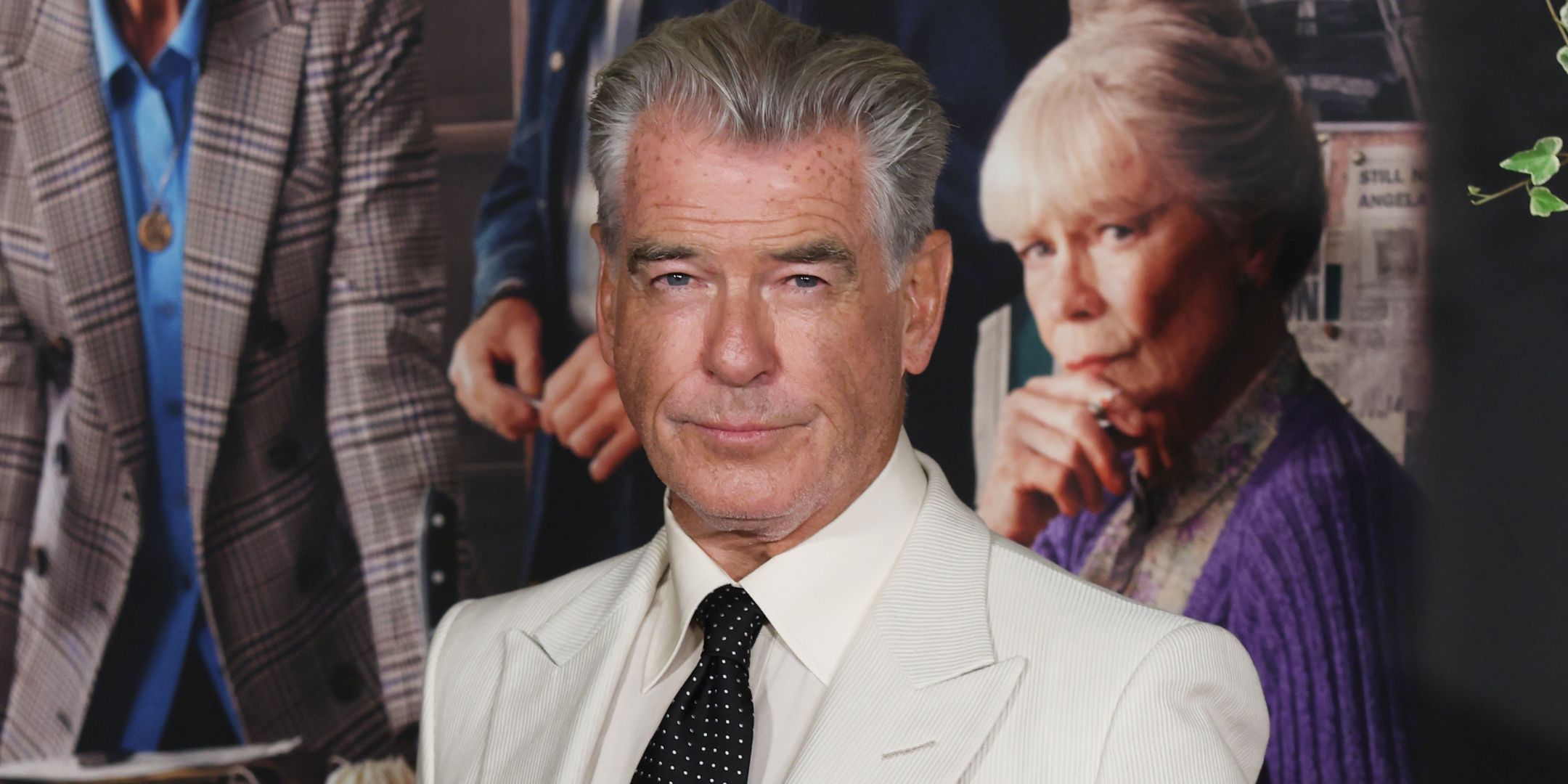 Pierce Brosnan on Potential James Bond Return with Director Denis ...