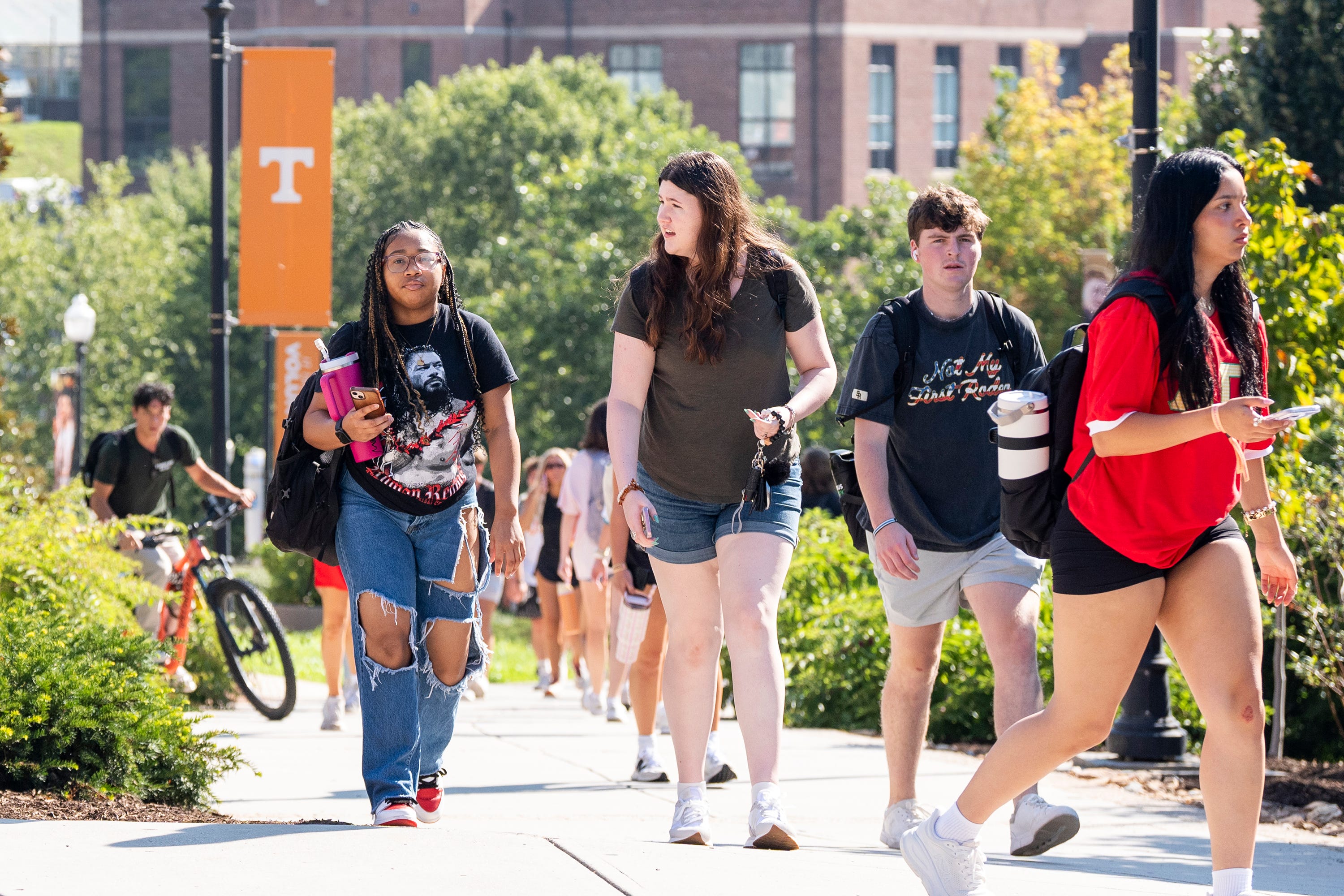 University of Tennessee ranks among top 30% of schools nationwide ...