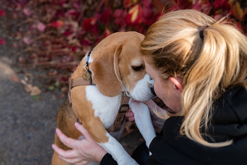 New Vaccine Offers Hope to Dogs With Deadly Bone Cancer