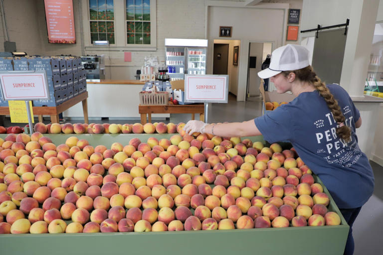 Photos: Visit the orchard and packing facility at middle Georgia's ...