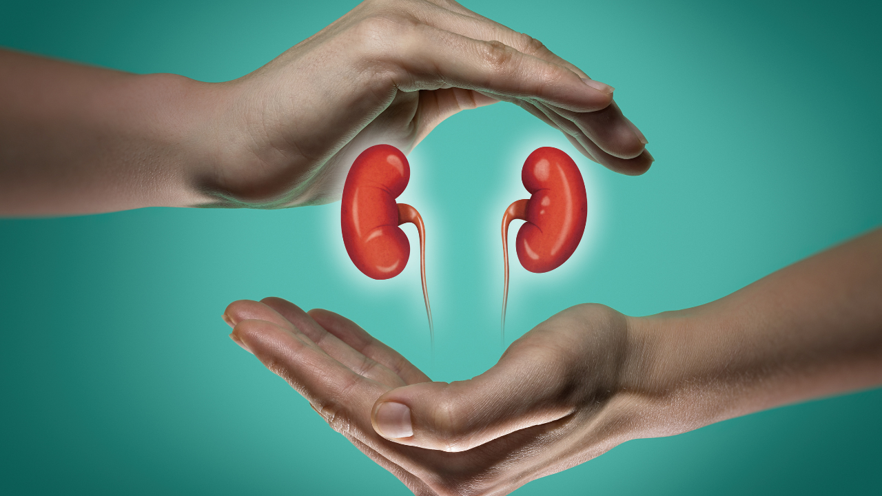 5 natural kidney cleansers one should know about