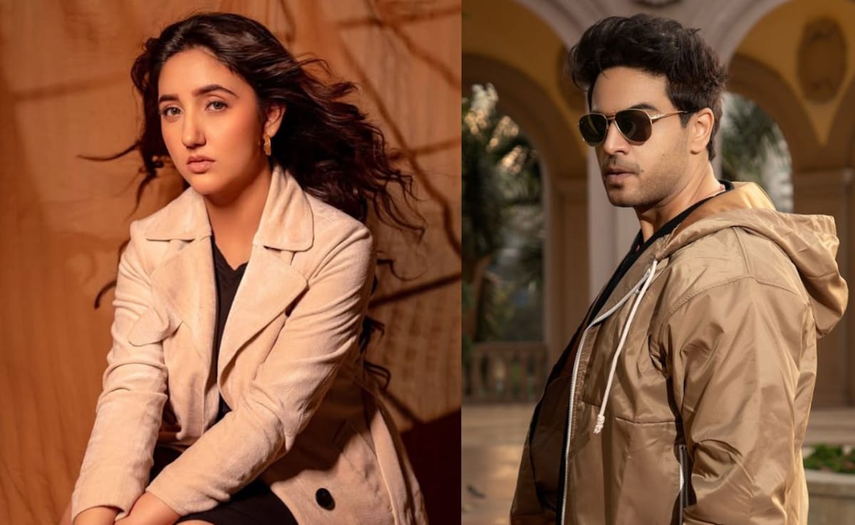 Bigg Boss 19: Gaurav Khanna To Ashnoor Kaur, Here's The Full List Of ...