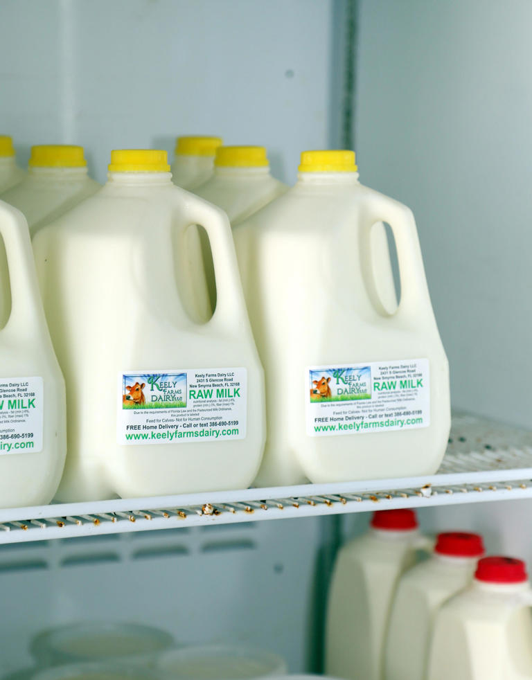 Retired Florida dairy farmer: Here's some insight into the raw milk ...