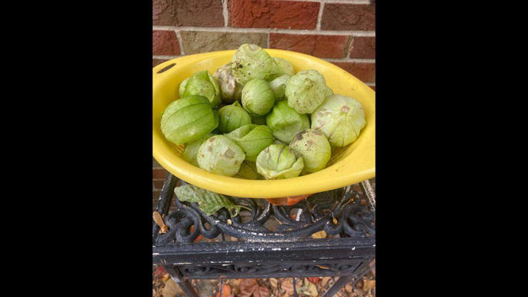 Try this grilled tomatillo salsa recipe to kick off a late summer dinner
