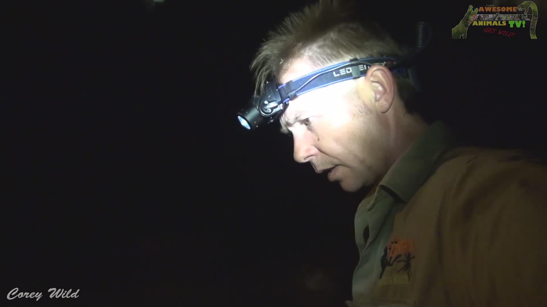 Crazy Australian insect invasion | Attack of the karate cricket