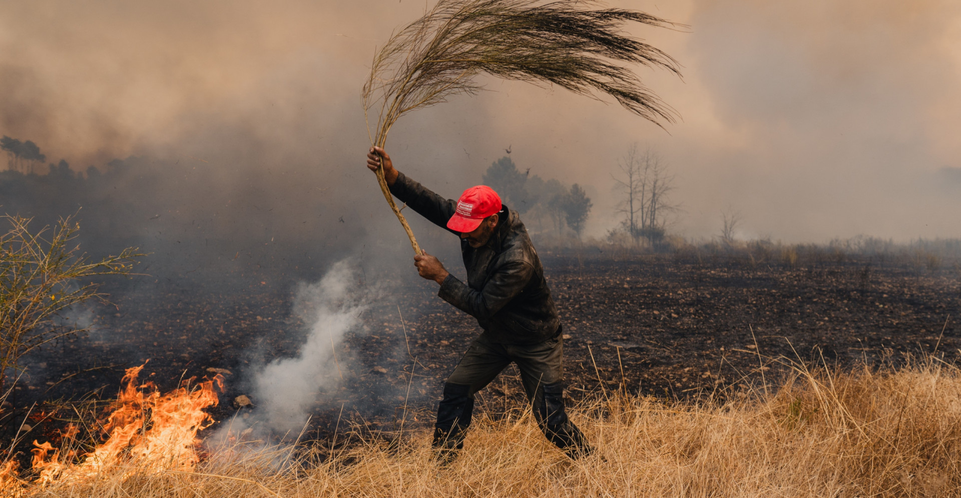 Europe ablaze: explosive wildfire season and its health toll
