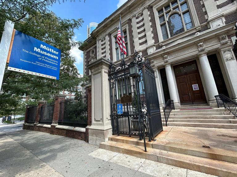 A museum's human remains collection updated after 'Postmortem ...