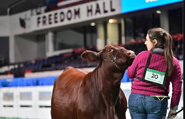 Kentucky State Fair inspires fifth generation Kentuckian's future as a ...
