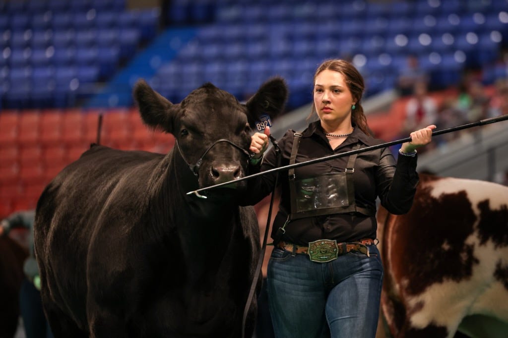 Kentucky State Fair inspires fifth generation Kentuckian's future as a ...