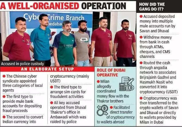 Crypto con in Gujarat: Brothers held in Rs 16 crore scam; Chinese cyber ...