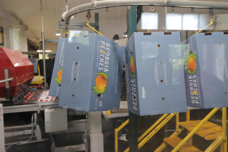 Photos: Visit the orchard and packing facility at middle Georgia's ...