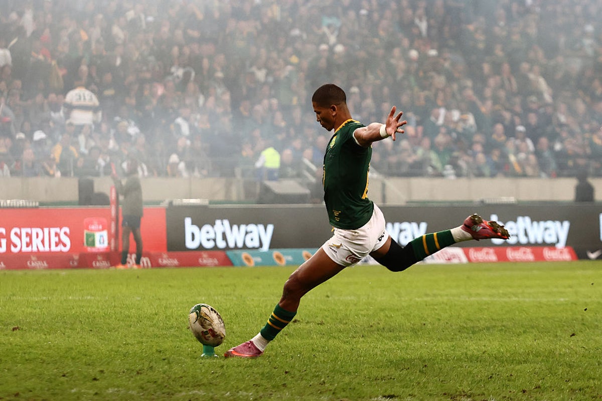 Springboks and Japan to play first rugby match at Wembley in nine years