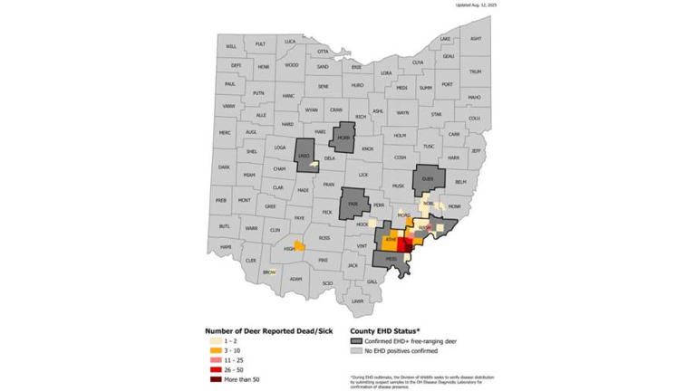 ODNR asks for reports of dead or sick deer to track disease outbreaks