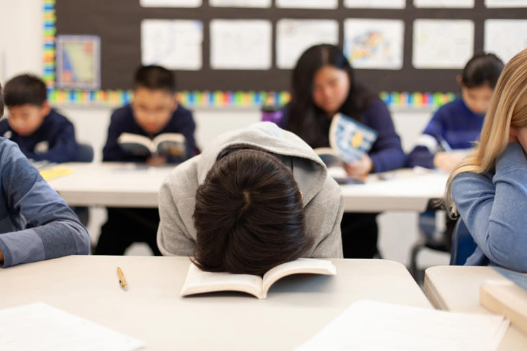 My students resisted reading books. I found an unexpected solution.