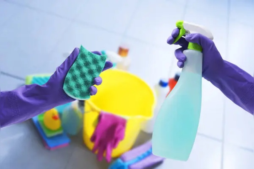 18 Eco-Friendly Deep Cleaning Products