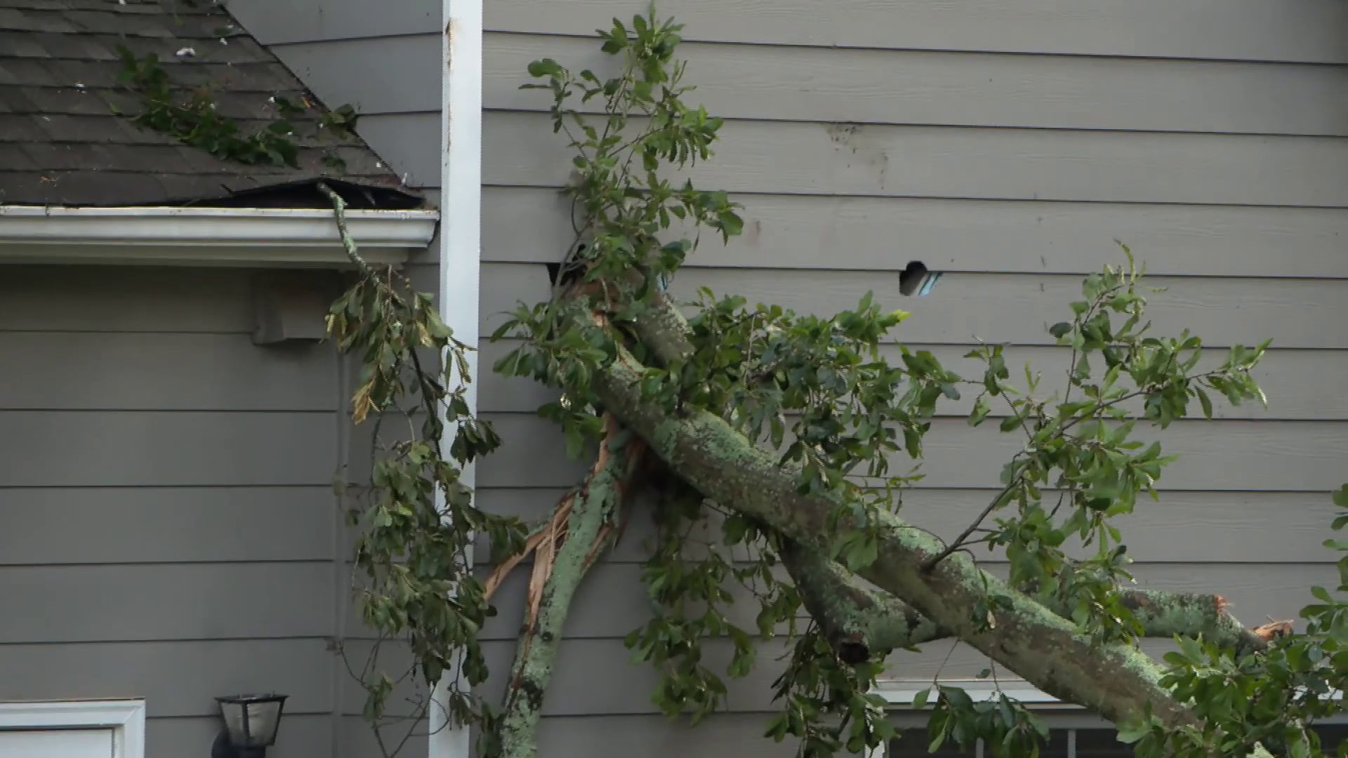 Strong storms cause flooded roads, fallen trees in metro Atlanta