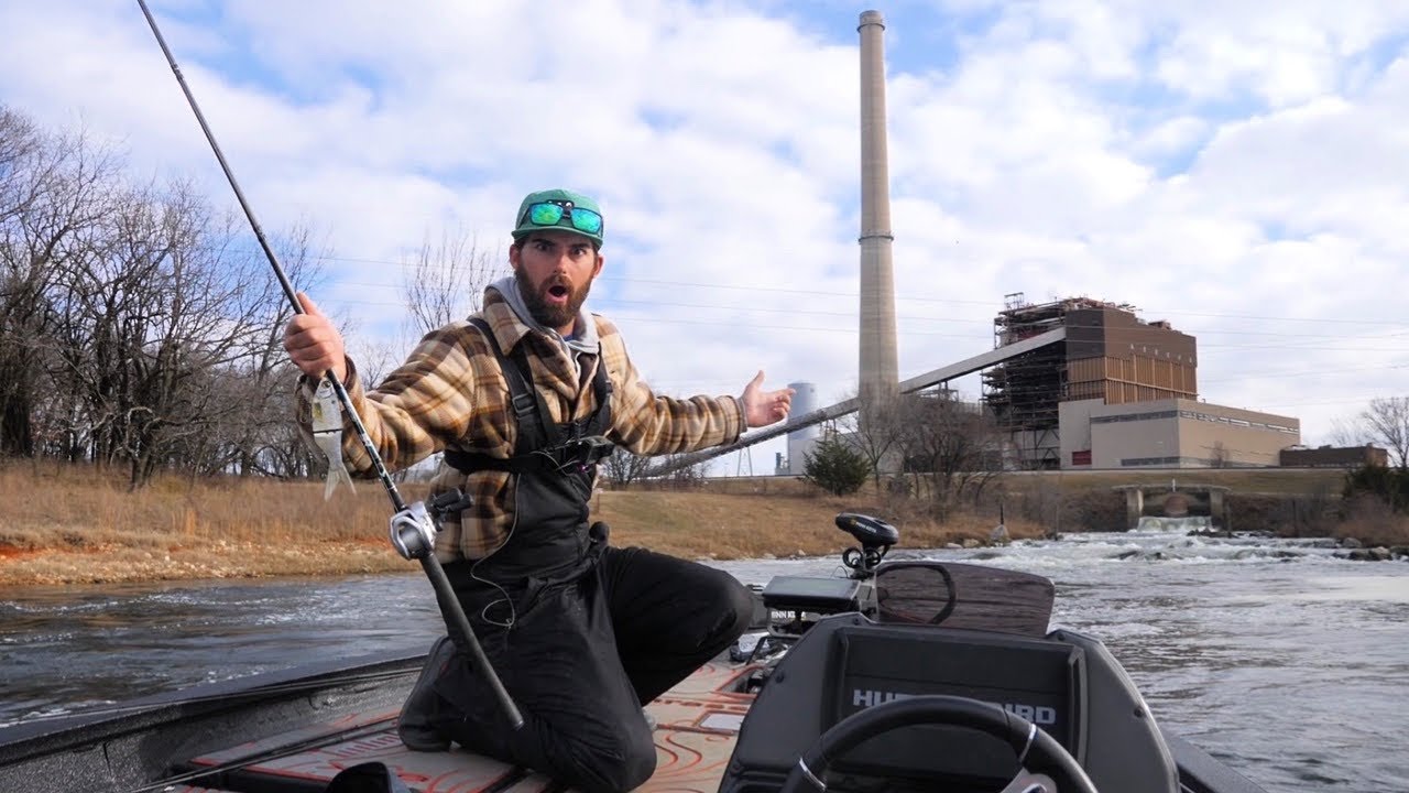 Power plant spillway fishing yields giant river fish