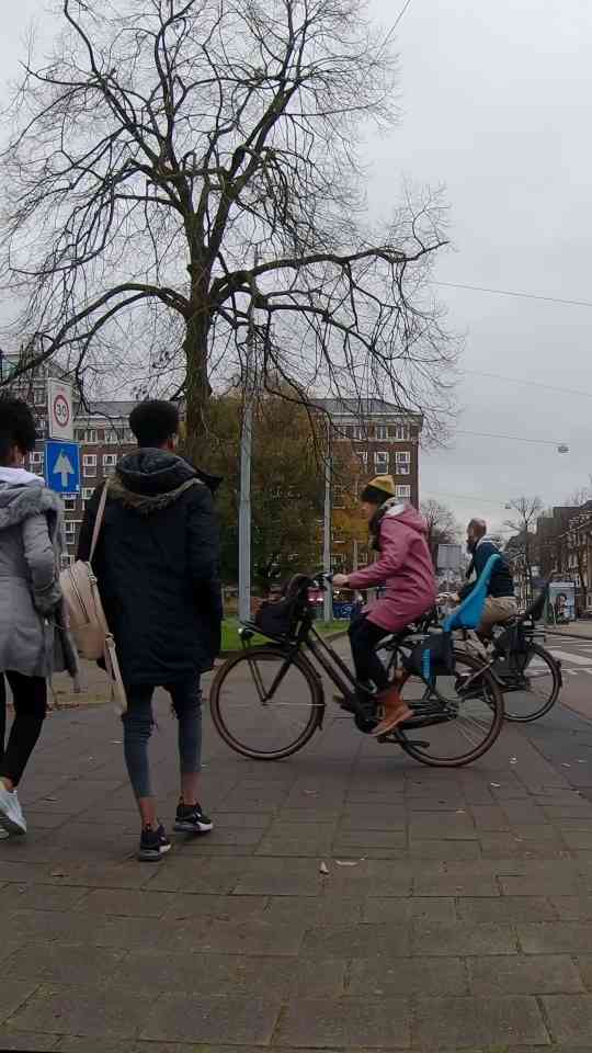 How the Dutch Cross the Street