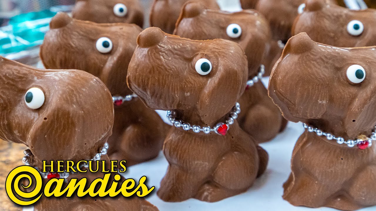 Chocolate Dogs – Adorable Treat or Creepy Creation?
