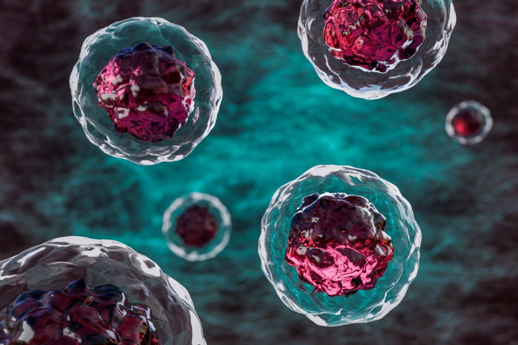 Ageing might be ‘contagious’, study says