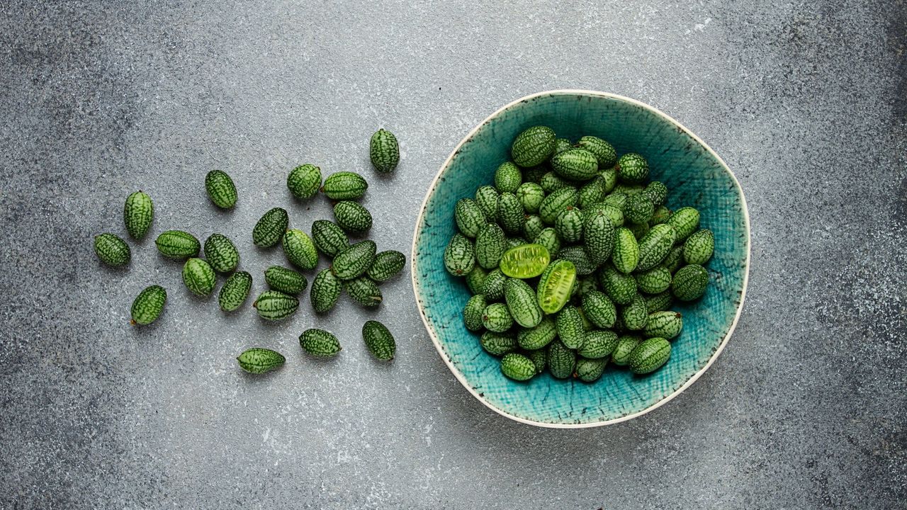 This super cute, on trend veg crop is going to be on everyone's growing ...