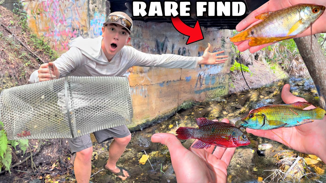 I Caught My Bucket List Fish in a Hidden Creek Under a Bridge
