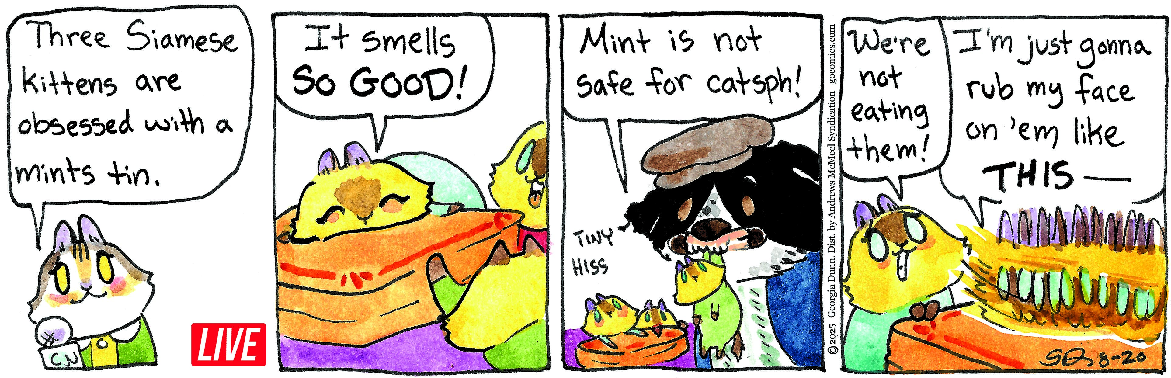 Breaking Cat News by Georgia Dunn