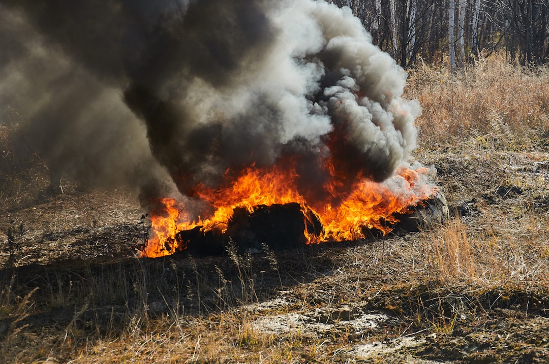 6 Things You Cannot Burn in Your Backyard But Some Still Do