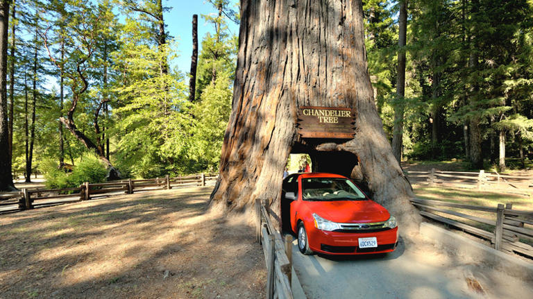 Only In Northern California Can Travelers Take A Kitschy Road Trip ...
